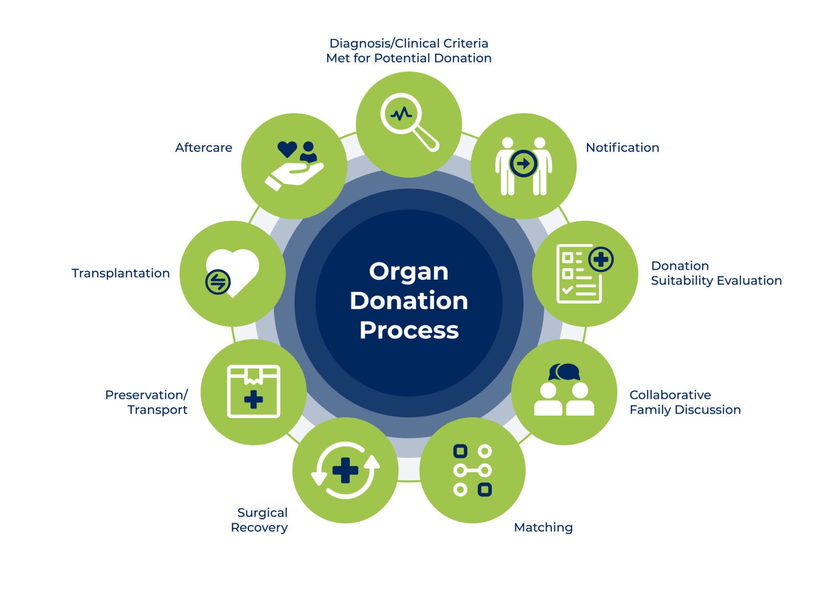 Organ Donation Process - Lifeline of Ohio