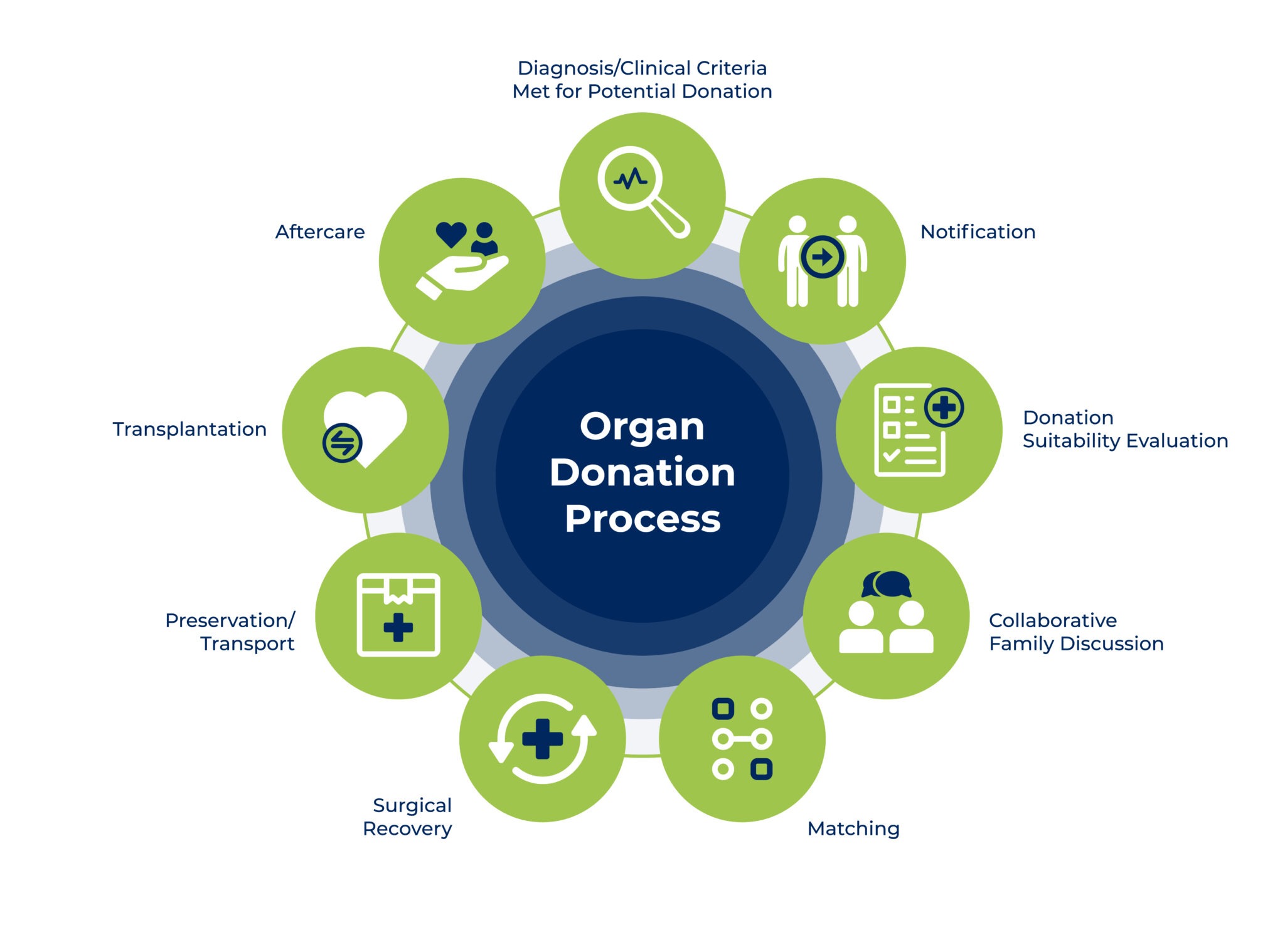 Organ Donation Process - Lifeline of Ohio